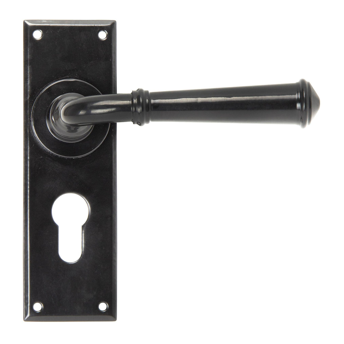Regency Lever Euro Lock Set – Courtyard Architectural Hardware