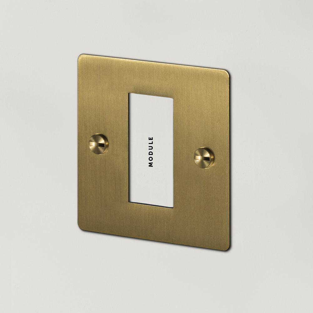 1G EURO PLATE - 1 MOD / BRASS – Courtyard Architectural Hardware